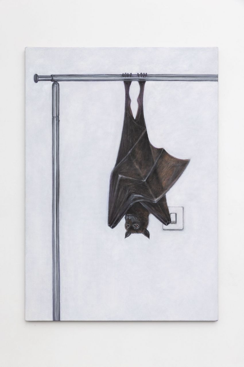 Fitzpatrick Gallery | Cédric Rivrain