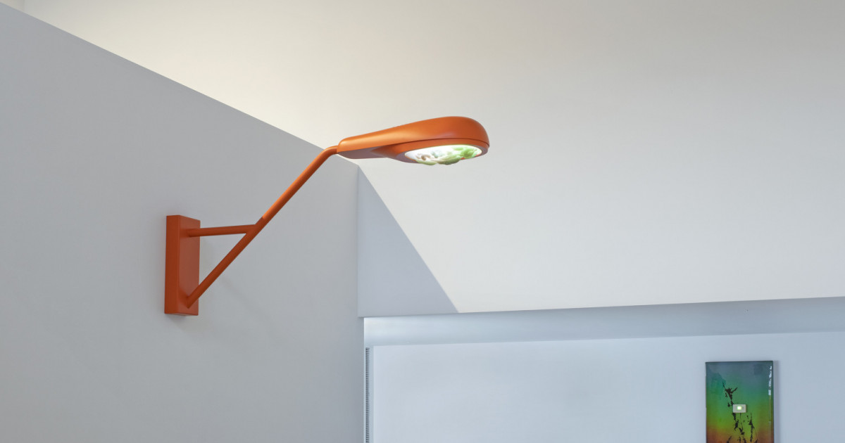 Fitzpatrick Gallery | Sun is bile — Cooper Jacoby